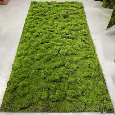 Cina Filato di seta Verde Falsate Muschio Piana 1M*1M Dimensione per la decorazione del paesaggio domestico in vendita