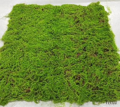 Cina Filato di seta Verde Falsate Muschio Piana 1M*1M Dimensione per la decorazione del paesaggio domestico in vendita