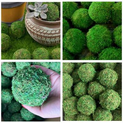 Cina Logo personalizzato accettato pianta artificiale Green Foam Moss Ball per ornamento giardino in vendita