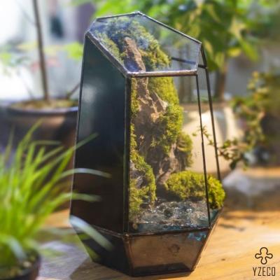 Cina Ritorno alla scuola Desktop creativo Muschio Micro Paesaggio Bonsai finito per ogni occasione in vendita