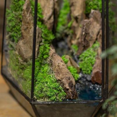 Cina Ritorno alla scuola Desktop creativo Muschio Micro Paesaggio Bonsai finito per ogni occasione in vendita