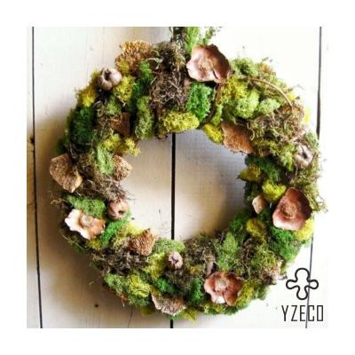 Cina 100% di schiuma naturale Lichene muschio corone duratura e inodore 3-5 anni Tempo di vita in vendita