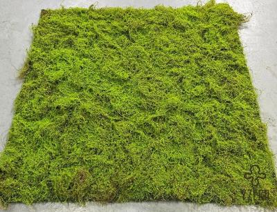 China Professional Green Moss Grass Landscape Roll Up Carpet for Patios Decoration Sample for sale
