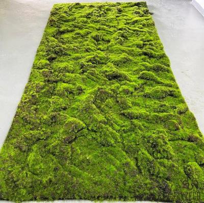 Cina Campione 5 anni di vita pannello di decorazione con muschio artificiale per l'arredamento del giardino in vendita