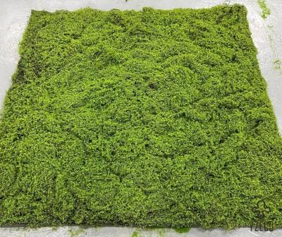 Cina Campione 5 anni di vita pannello di decorazione con muschio artificiale per l'arredamento del giardino in vendita