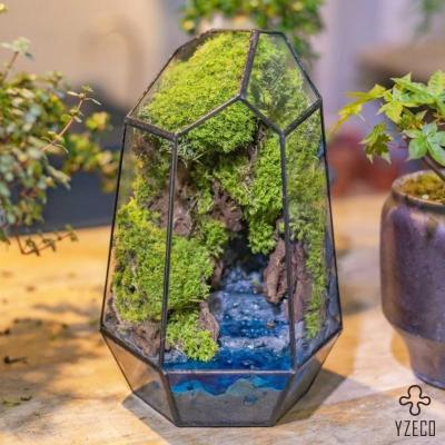 Cina Logo personalizzato per l'occasione del Ringraziamento Paesaggio in miniatura di muschio per la vendita di decorazioni domestiche in vendita