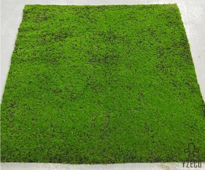 Cina Campione 5 anni di vita pannello di decorazione con muschio artificiale per l'arredamento del giardino in vendita