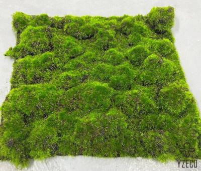 Cina Campione 5 anni di vita pannello di decorazione con muschio artificiale per l'arredamento del giardino in vendita