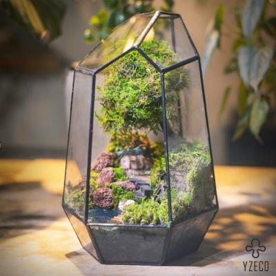Cina Logo personalizzato accettato Hot Green Stabilized Moss Art per decorazioni durature in vendita