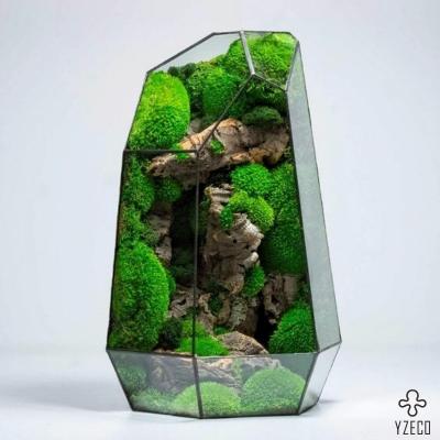 Cina Logo personalizzato accettato Hot Green Stabilized Moss Art per decorazioni durature in vendita