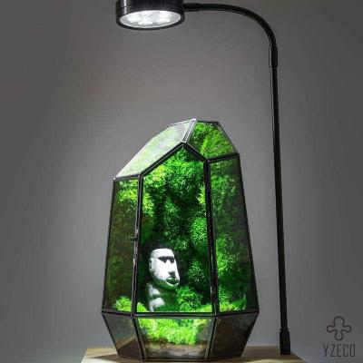 Cina Logo personalizzato accettato Hot Green Stabilized Moss Art per decorazioni durature in vendita