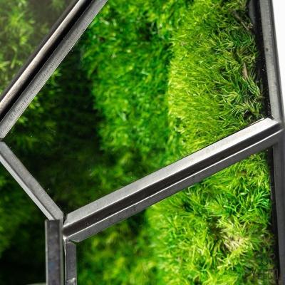 Cina Logo personalizzato accettato Hot Green Stabilized Moss Art per decorazioni durature in vendita