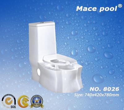 China Mace Pool Sanitary Wares Squat Sit Ceramic Toilet (8026) for sale