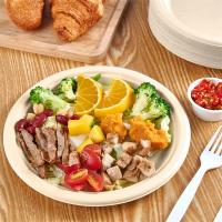 Quality 9 Inch Heavy-Duty 100% Compostable Plates Eco-Friendly Disposable Sugarcane for sale