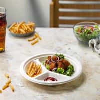 Quality 9 Inch Disc Disposable Dinner Plate Factory Hot Selling Compostable Gourmet for sale