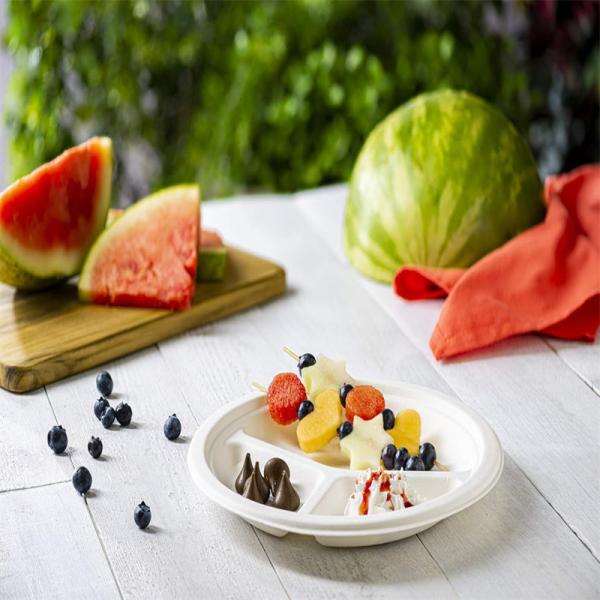 Quality Wholesale Disposable Custom Paper Plates 6-10 inch Sugarcane Bagasse Tableware for sale