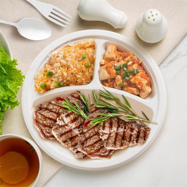Quality High Quality Biodegradable Disposable Restaurant Sugarcane Plates 9 Inch Dishes Paper Plates for sale