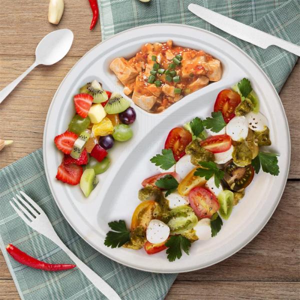 Quality Wholesale Disposable Custom Paper Plates 6-10 inch Sugarcane Bagasse Tableware Food Container for sale