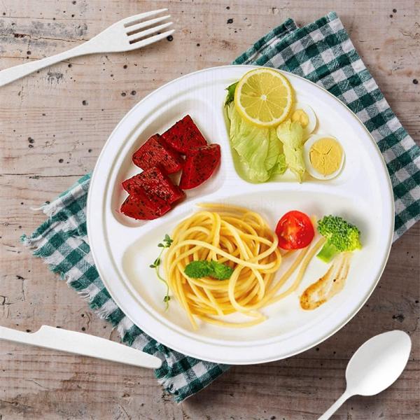 Quality Natural Disposable Bagasse Plate 100% Compostable 9 / 10 Inch Paper Plates Sugarcane Bagasse Cutlery for sale