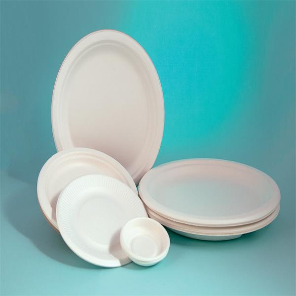 Quality Wholesale Disposable Custom Paper Plates 6-10 inch Sugarcane Bagasse Tableware for sale