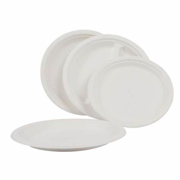 Quality 2023 Hot selling natural disposable sugarcane bagasse cake dinner plate biodegradable bagass plate for party for sale
