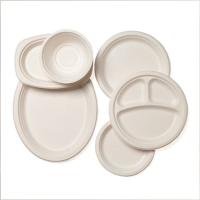 Quality High Quality Round Sugarcane Bagasse Pulp Anti Falls Foam Disposable Paper Plate for sale