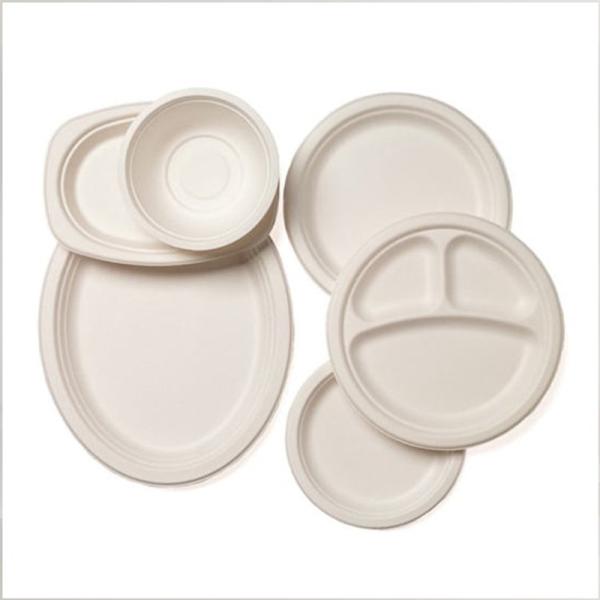 Quality High Quality Round Sugarcane Bagasse Pulp Anti Falls Foam Disposable Paper Plate for sale