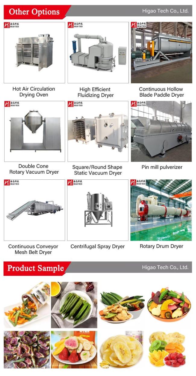 Hot Sale Stainless Steel Round Shape Static Vacuum Drying Machine for Foodstuff Industry