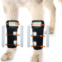 China Pets Front Back Legs for sale