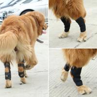 China Pet Knee Pad for sale