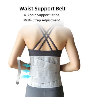 orthopedic back support