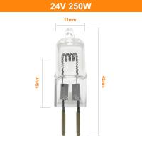 China 24v 250w Halogen Bulb Led Replacement Beads Crystal Lamp Surgery Shadowless for sale