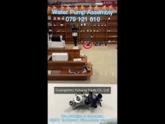 079121012D 079121010D 079121010C 079121115BA Water Pump A4 A6 ZPY
