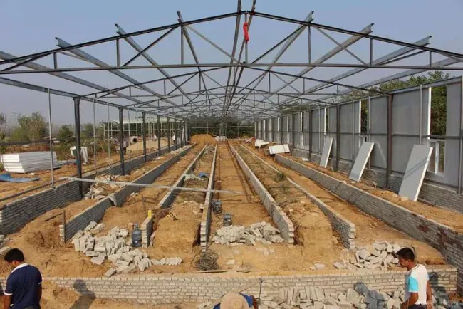 Type H Laying Hens Breeding Chicken Automatic Equipment (KXD-LC301)