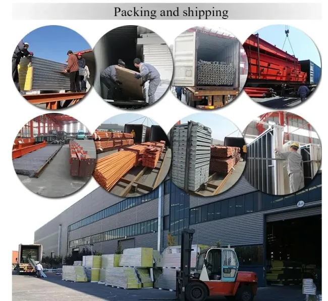 Type H Laying Hens Breeding Chicken Automatic Equipment (KXD-LC301)