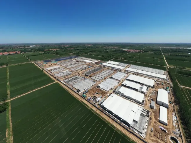 Light Weight Steel Structure Fabrication Workshop