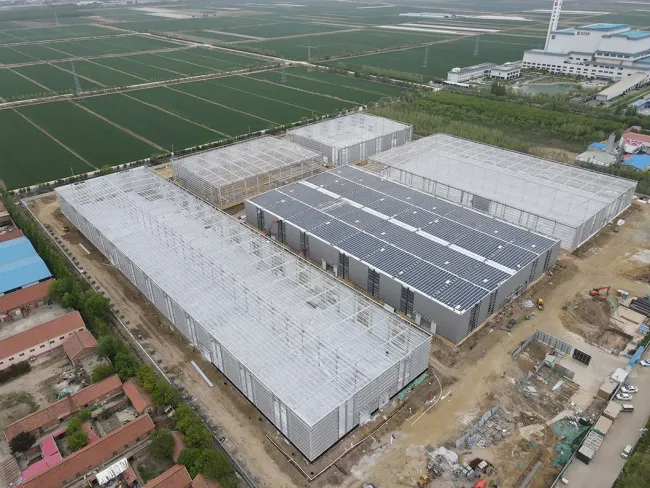 Prefabricated Light Steel Construction Building Metal Industrial Structural Workshop