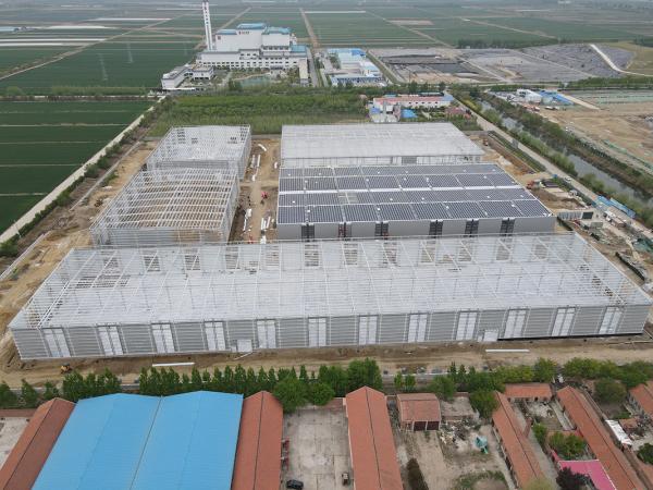 Quality Steel Structure High-Rise Buildings- Innovative Solutions for Modern Construction for sale