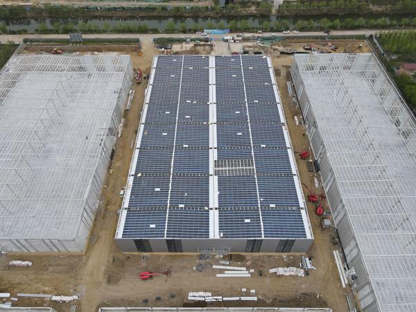 Quality Steel Structure High-Rise Buildings- Innovative Solutions for Modern Constructio for sale