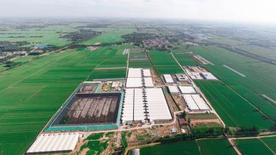 中国 畜産農園の鋼鉄構造材料 高コスト効率の建設計画 販売のため