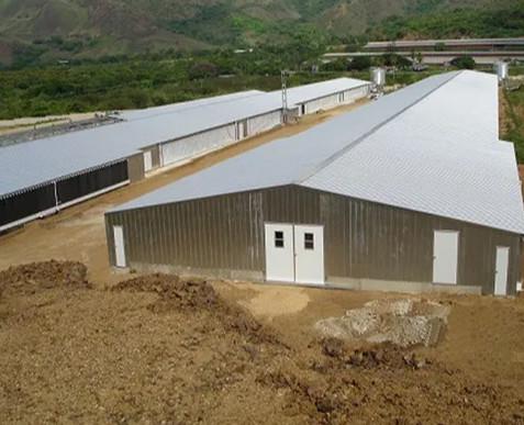 Quality Light Steel Frame Structure PEB Steel Workshop Prefab Construction Buildings for sale
