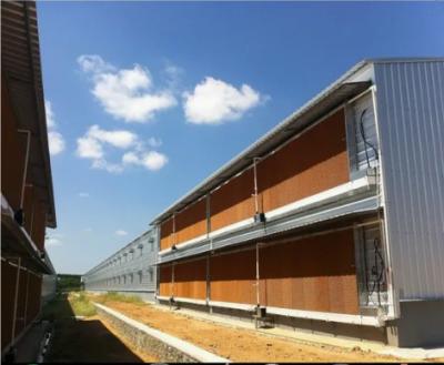 Cina Struttura in acciaio prefabbricata stabile e durevole in vendita