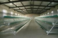 China Factory Price Steel Structure Multi-Function Warehouse for sale