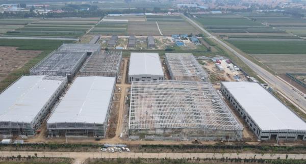 Quality Prefab Light Framing Steel Structure Construction Building Factory Workshop for sale