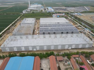 China Prefabricated Steel Structural Building and Steel Frame Building Applications in Multi-Field Construction, Industrial, Commercial, and Residential Sectors for sale
