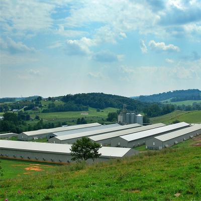 China Modern Steel Pig House Farmhouse Pig Housing Warehouse Construction Materials for Pig Farming for sale