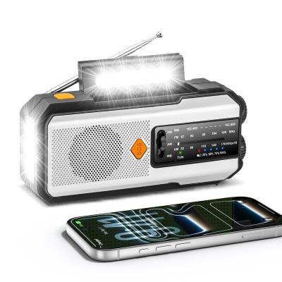 China 5000mah Battery Emergency Solar Hand-crank Portable AM/FM WB Weather Radio with Power Bank SOS Alarm Flashlight Noodradio for sale