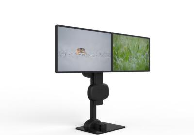 Cina Armo a doppio monitor elettrico per alleviare il dolore al collo e alla lombalgia in vendita