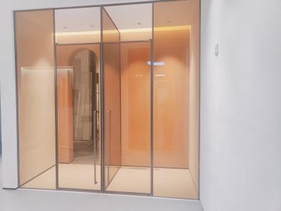 Cina Maniglia di porta in vetro a prova di corrosione bagno stile moderno personalizzato in vendita