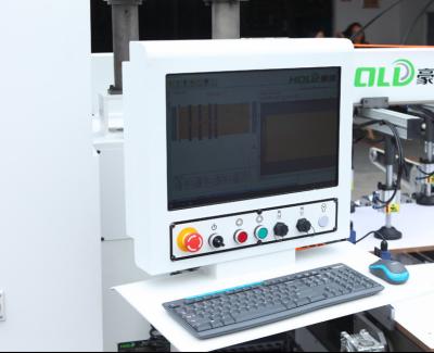 Cina Alesatrice d'alimentazione automatica di CNC di otto file HB8062K per falegnameria in vendita